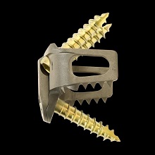 ALIF Archives - Page 2 of 4 - SPINEMarketGroup