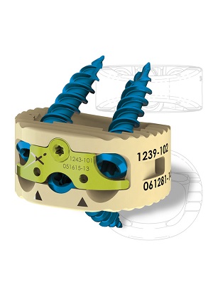 Arco-SA - SPINEMarketGroup